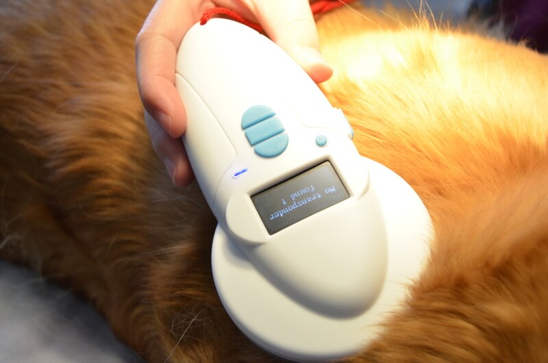 Services - Hôpital Vétérinaire de Charlesbourg