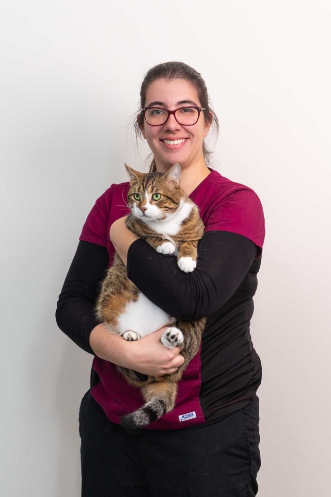 À propos - Hôpital Vétérinaire de Charlesbourg