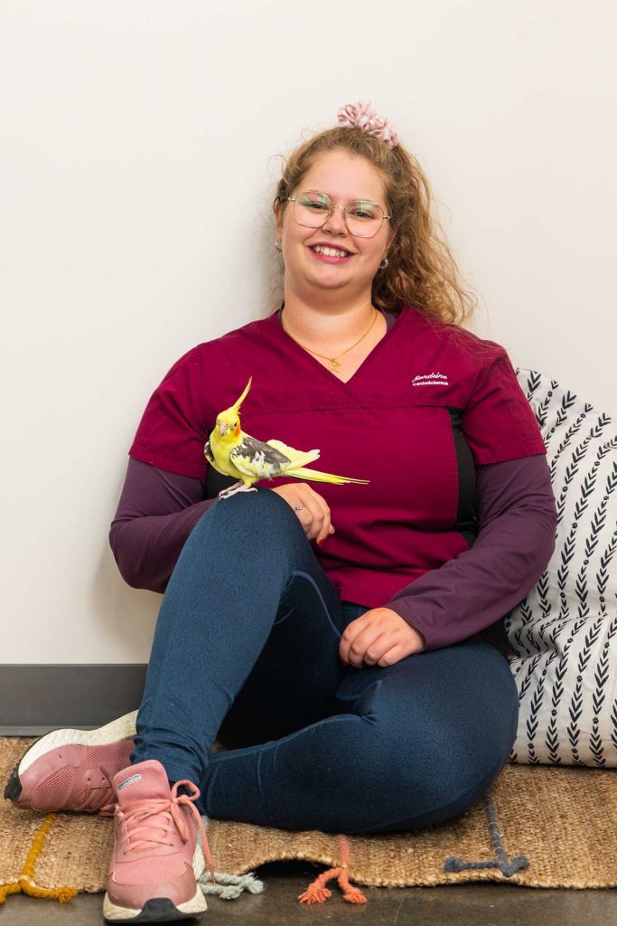 À propos - Hôpital Vétérinaire de Charlesbourg